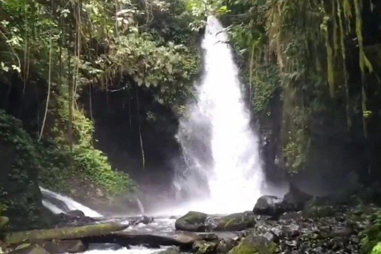 Eksplorasi Menakjubkan di Banyuwangi: Ini Dia Air Terjun Telunjuk Raung ...